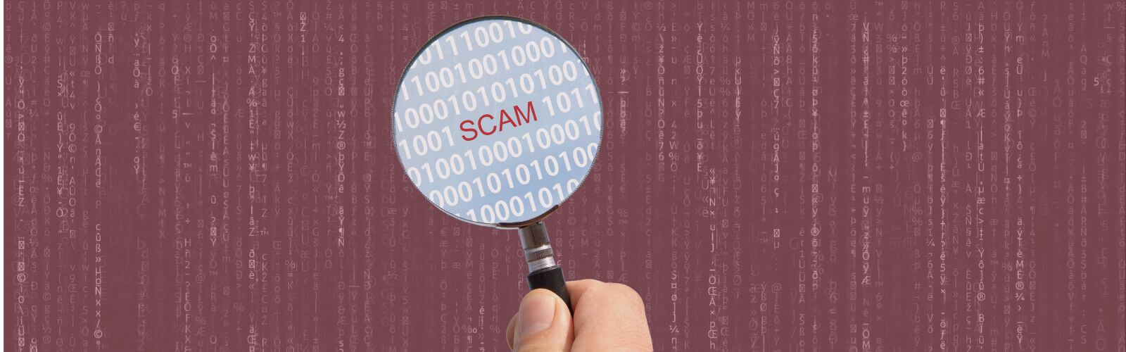 Complying with ACMA's Code for Reducing Scam SMS | Tall Bob